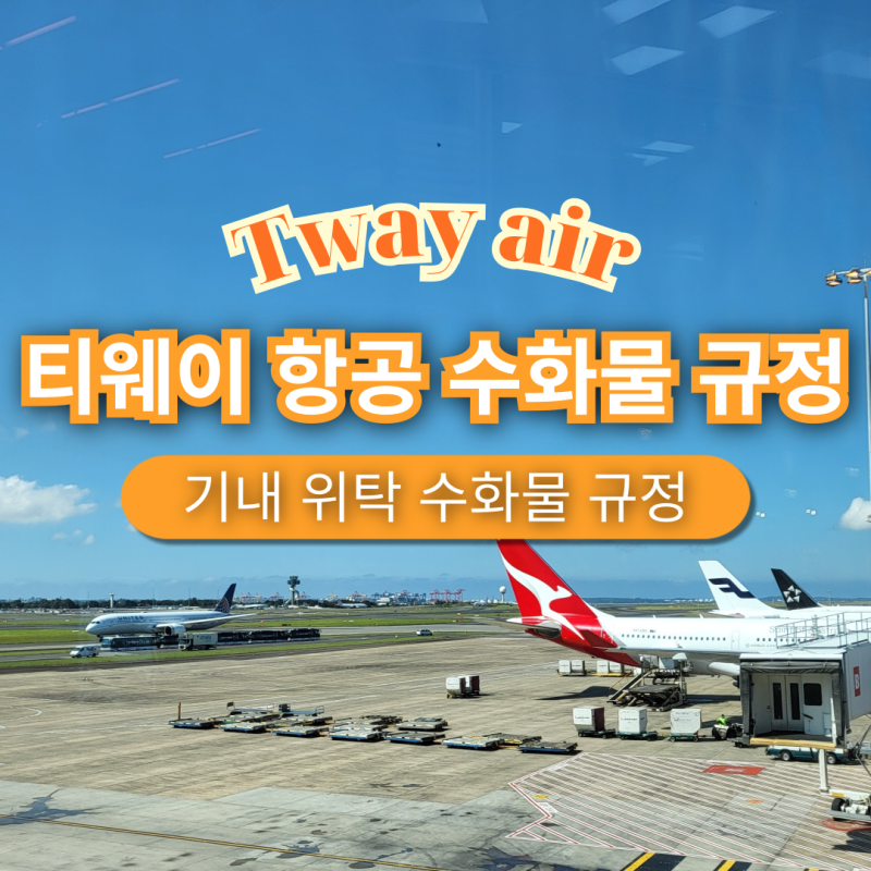 티웨이 항공 수화물 규정 총정리 기내 수화물 위탁 수화물 무게 네이버 블로그