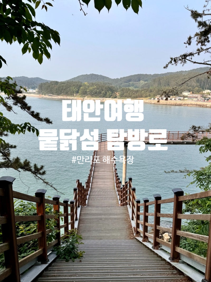 태안커플여행 뭍닭섬 해안 산책로 포토스팟 지름길 무료주차 출렁다리 힐링코스 추천 네이버 블로그