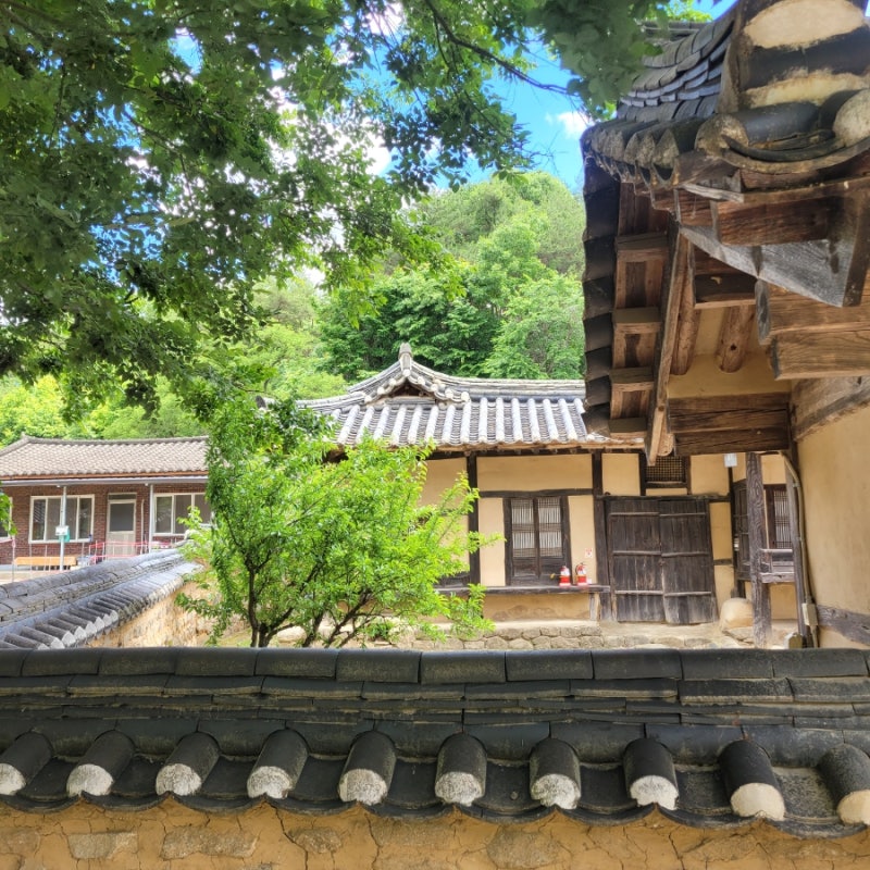 영주 무섬마을 고즈넉한 고택 산책 그리고 외나무다리 영주여행코스 네이버 블로그