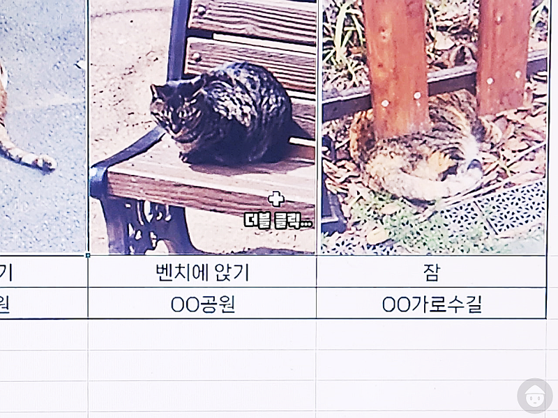 엑셀 이미지 셀에 배치하기 그림 정렬 및 크기 조정 꿀팁 네이버 블로그