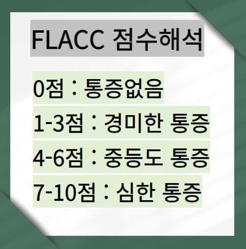 FLACC 통증사정평가척도 대상자 구성요소 사용법 점수해석 : 네이버 블로그