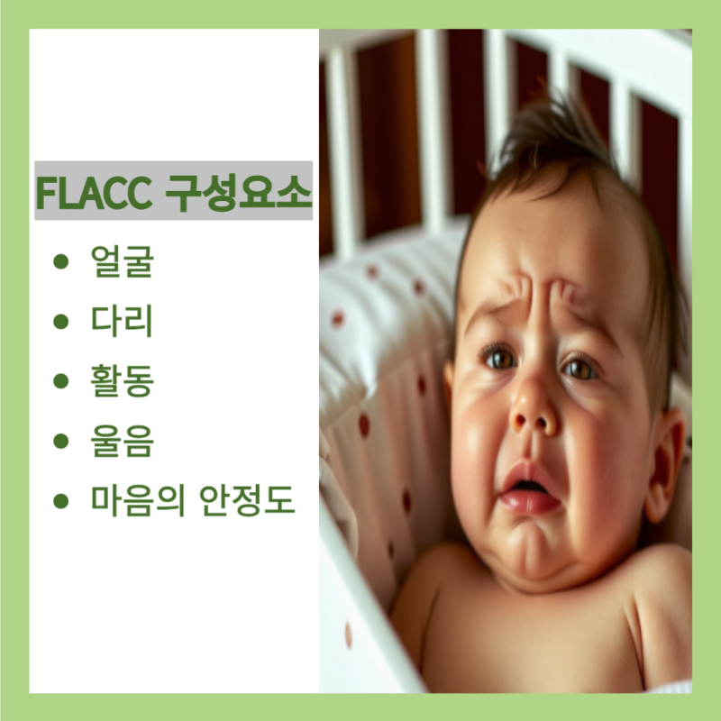 FLACC 통증사정평가척도 대상자 구성요소 사용법 점수해석 : 네이버 블로그