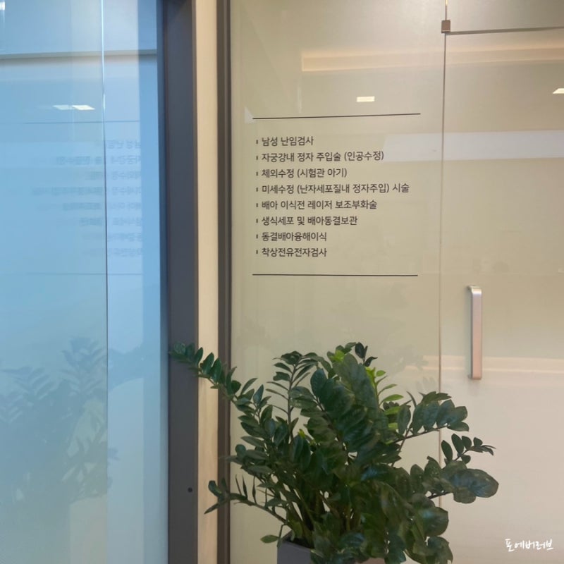 임신준비3 시온여성병원 아이소망센터 검진결과 다낭성난소증후군 배란유도제와 폴리트롭 주사 네이버 블로그