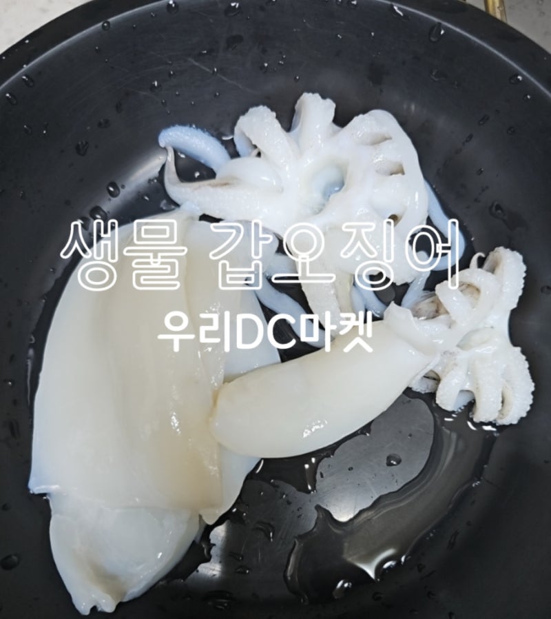 우리dc마켓 생물 갑오징어 쫄깃한갑오징어 네이버 블로그