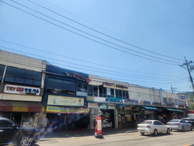 예산 여행 예산 시장 리뉴얼 중 임시 장터광장 방문 후기 홍게라면 응봉국수 애플양과점 네이버 블로그