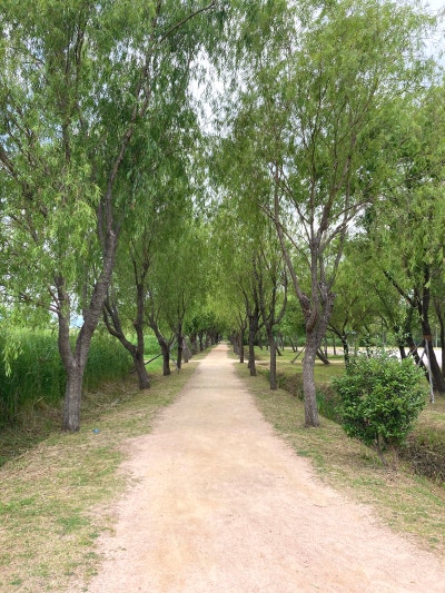 부산 사상구 공원 삼락생태공원 네이버 블로그