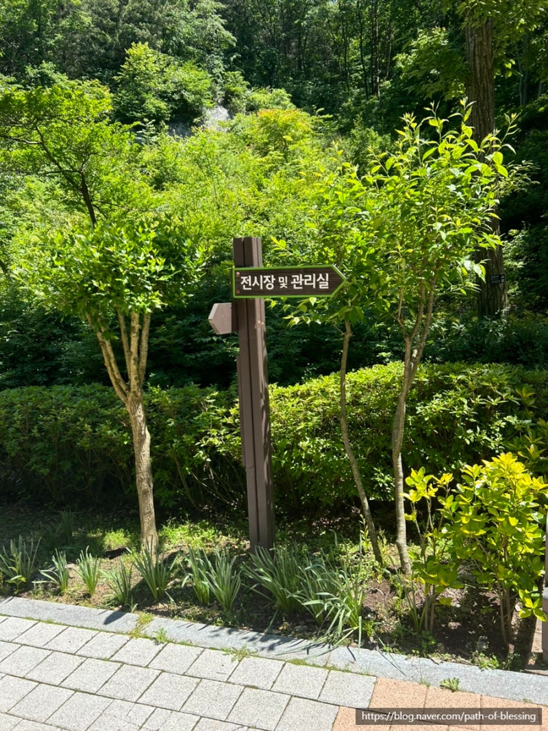 보령 가족여행코스 추천 무궁화 수목원 산책코스 입장료 무료 네이버 블로그