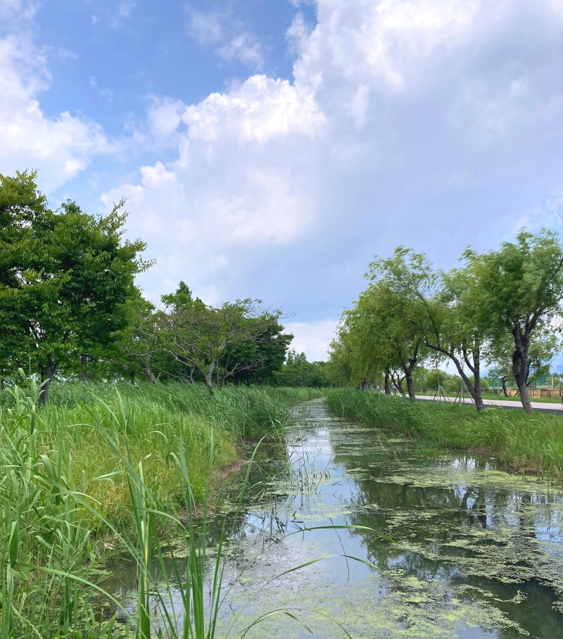 부산 사상구 공원 삼락생태공원 네이버 블로그