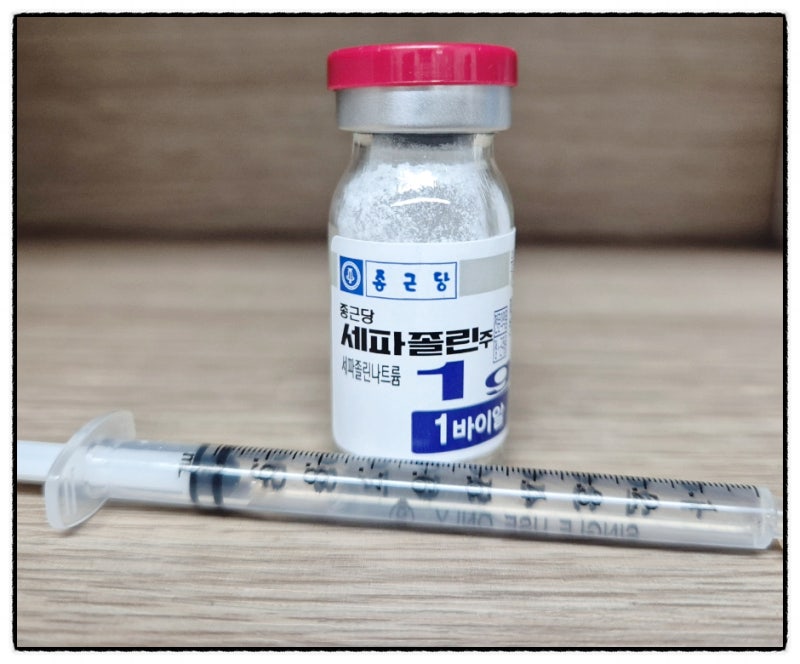 세파졸린주 1세대 세파계열 항생제 성분 효능효과 부작용 네이버 블로그