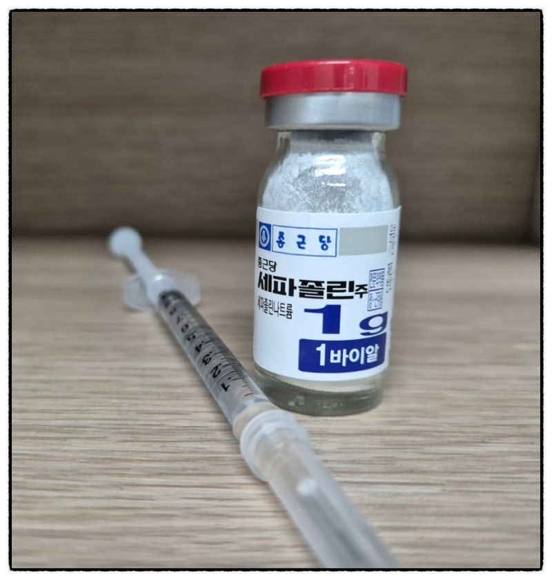세파졸린주 1세대 세파계열 항생제 성분 효능효과 부작용 네이버 블로그