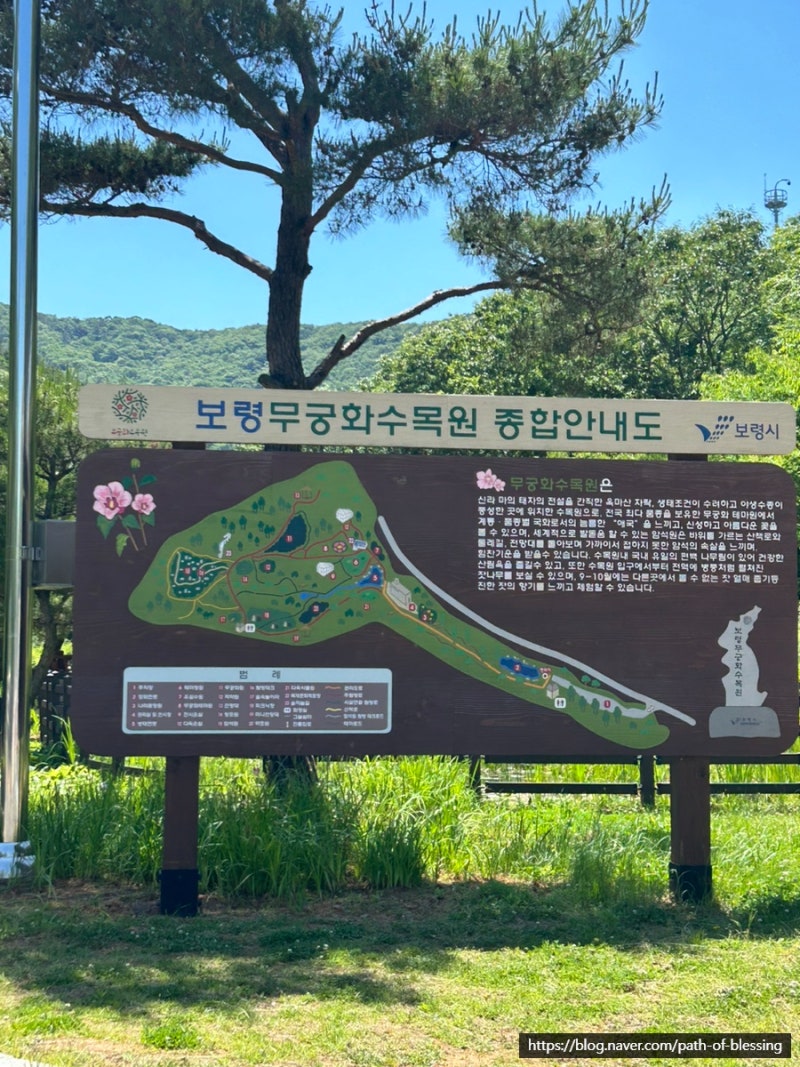 보령 가족여행코스 추천 무궁화 수목원 산책코스 입장료 무료 네이버 블로그