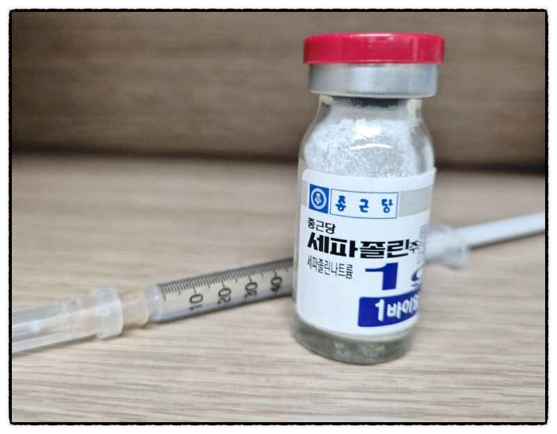 세파졸린주 1세대 세파계열 항생제 성분 효능효과 부작용 네이버 블로그