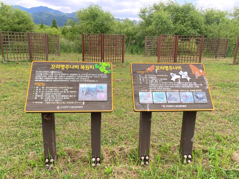 부산 사상구 공원 삼락생태공원 네이버 블로그