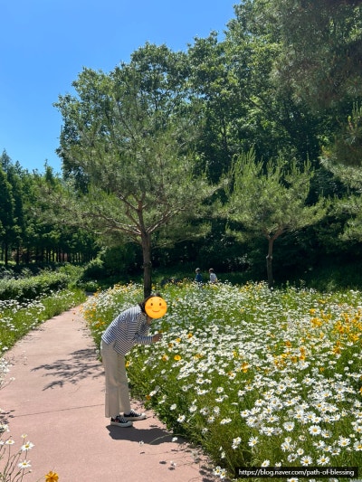 보령 가족여행코스 추천 무궁화 수목원 산책코스 입장료 무료 네이버 블로그