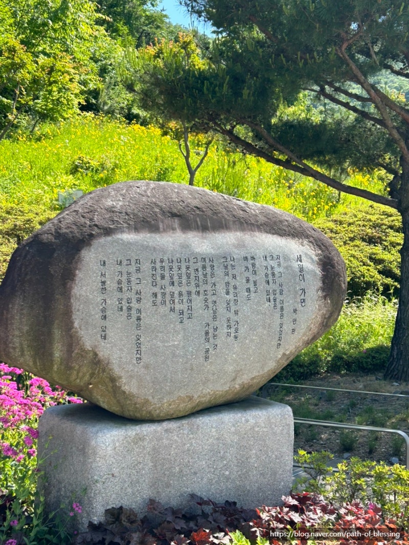 보령 가족여행코스 추천 무궁화 수목원 산책코스 입장료 무료 네이버 블로그
