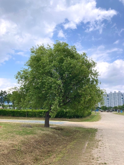부산 사상구 공원 삼락생태공원 네이버 블로그