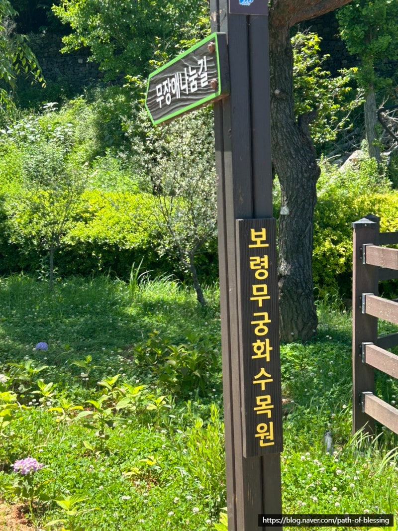 보령 가족여행코스 추천 무궁화 수목원 산책코스 입장료 무료 네이버 블로그