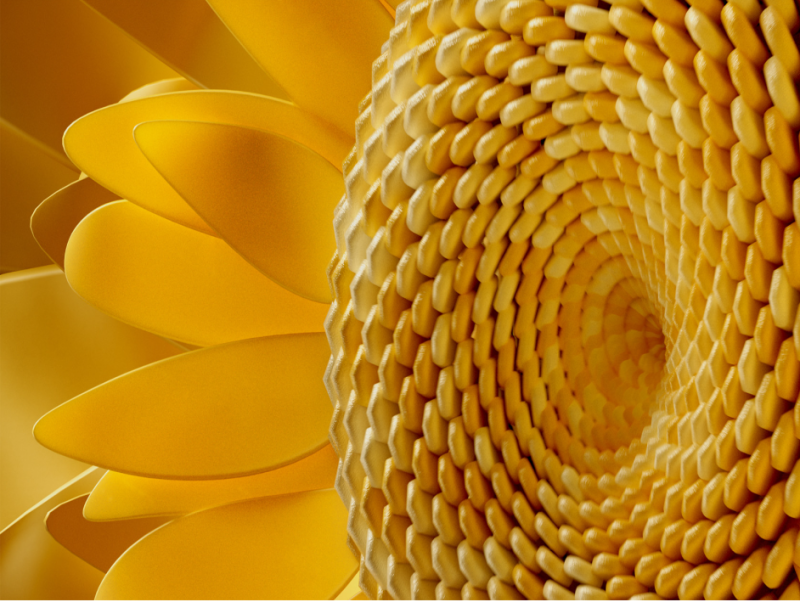 [TREND] 2025SS를 위한 주요 색상 5가지 : 네이버 블로그