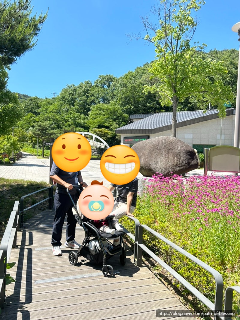 보령 가족여행코스 추천 무궁화 수목원 산책코스 입장료 무료 네이버 블로그