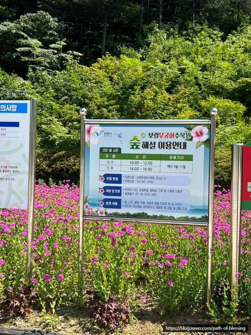 보령 가족여행코스 추천 무궁화 수목원 산책코스 입장료 무료 네이버 블로그
