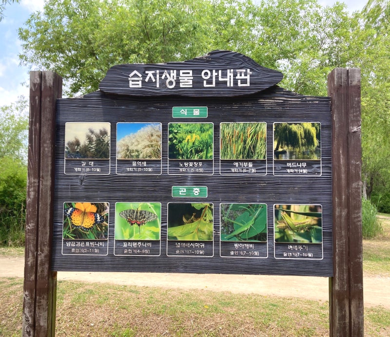 부산 사상구 공원 삼락생태공원 네이버 블로그