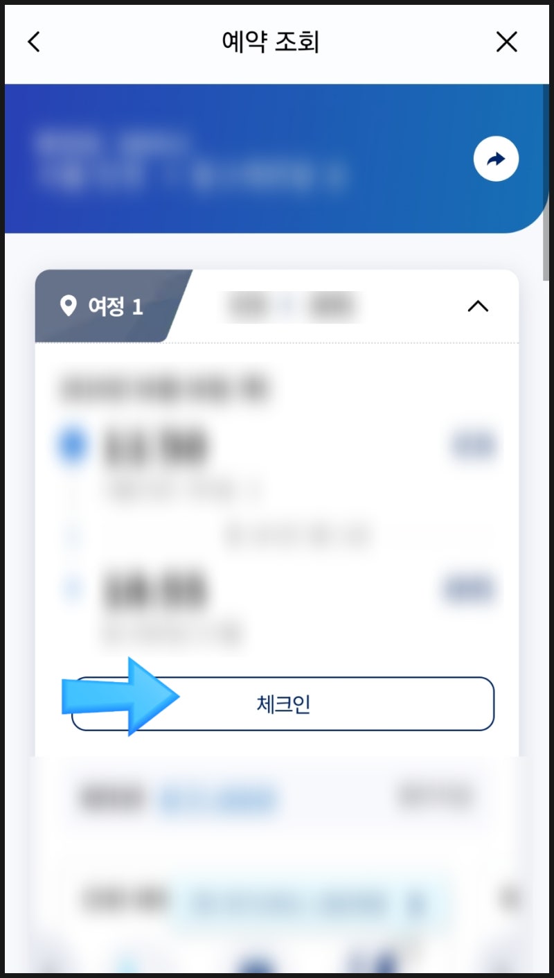 대한항공 오토체크인 모바일체크인 방법 사전 좌석 지정 특별 기내식 신청 네이버 블로그