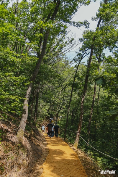 원주 소금산 그랜드밸리 출렁다리 코스 주차장 케이블카 정보 네이버 블로그