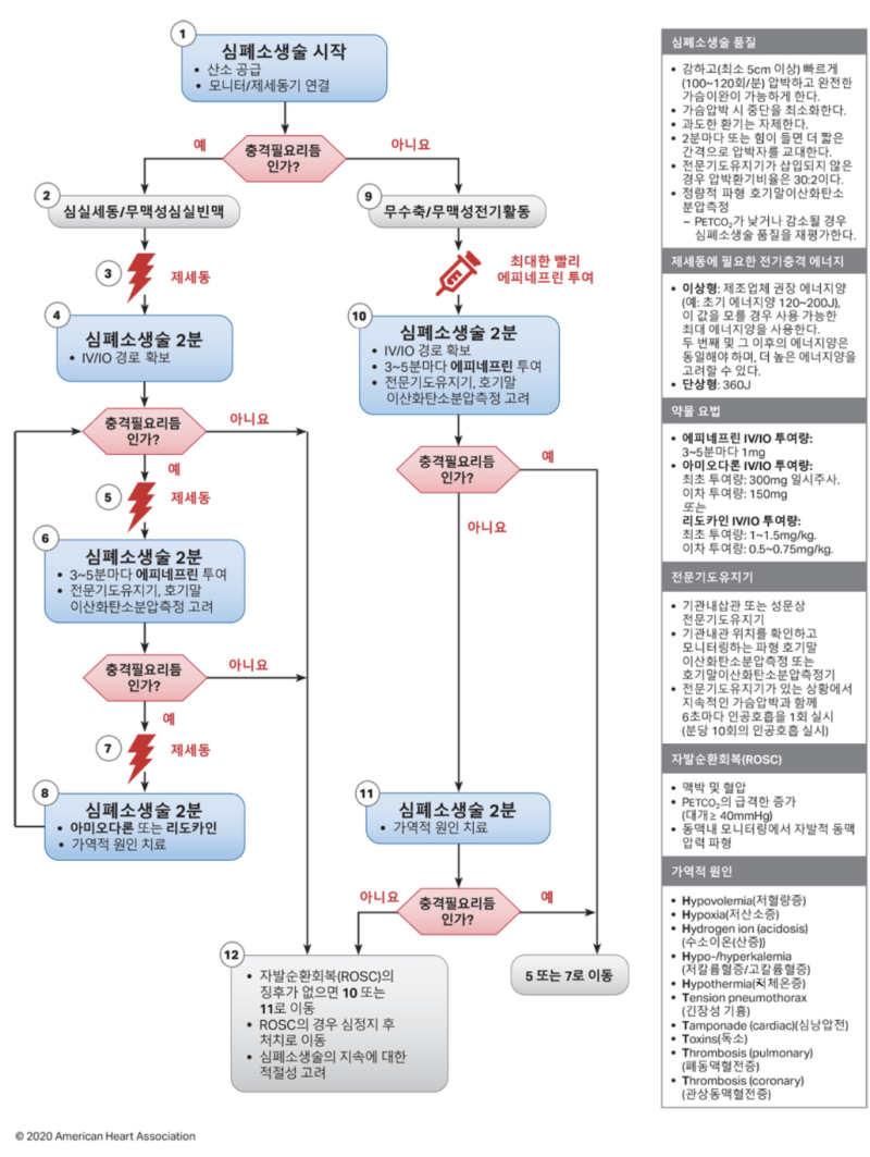 [AHA ACLS Provider] ACLS - 알고리즘, MEGACODE 시나리오 : 네이버 블로그