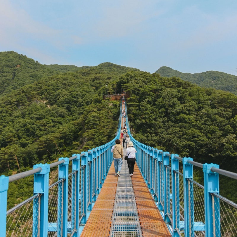 원주 소금산 그랜드밸리 출렁다리 코스 주차장 케이블카 정보 네이버 블로그