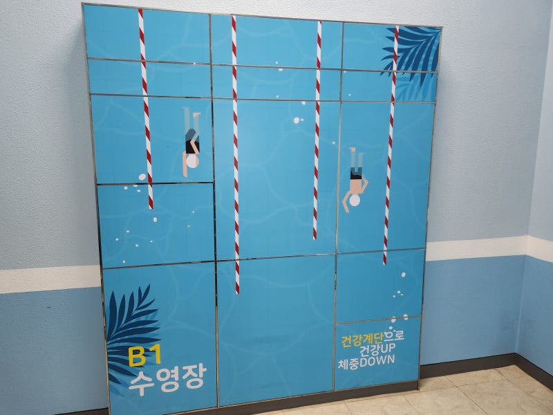 마포아트센터 수영장 자유수영 시간표 및 후기 네이버 블로그