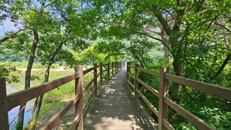 충북 괴산 걷기 명소 산막이 옛길 가는 길방법 코스 소요 시간 및 유래 네이버 블로그