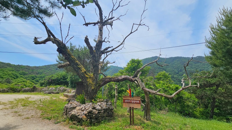 충북 괴산 걷기 명소 산막이 옛길 가는 길방법 코스 소요 시간 및 유래 네이버 블로그