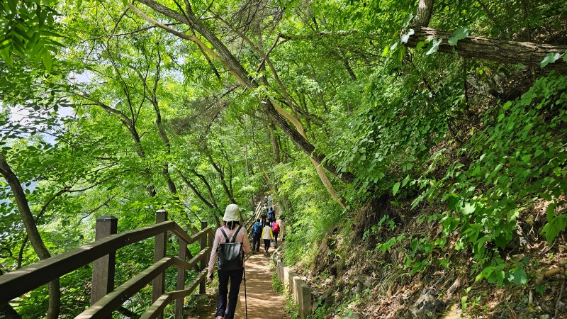 충북 괴산 걷기 명소 산막이 옛길 가는 길방법 코스 소요 시간 및 유래 네이버 블로그