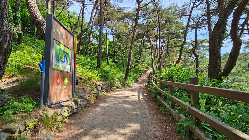 충북 괴산 걷기 명소 산막이 옛길 가는 길방법 코스 소요 시간 및 유래 네이버 블로그