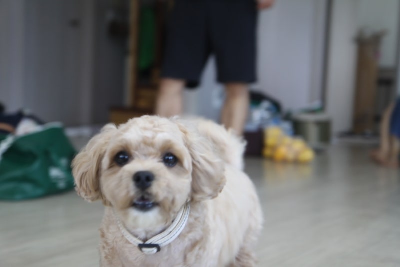 아름다운 가정 : 네이버 블로그