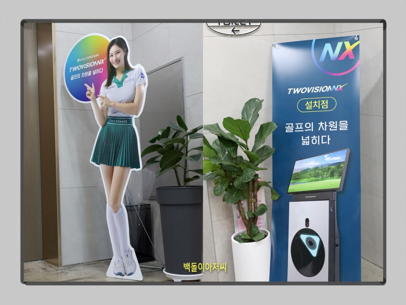 시지 스크린골프 골프존파크 대흥m스크린 알파시티 투비전nx 네이버 블로그