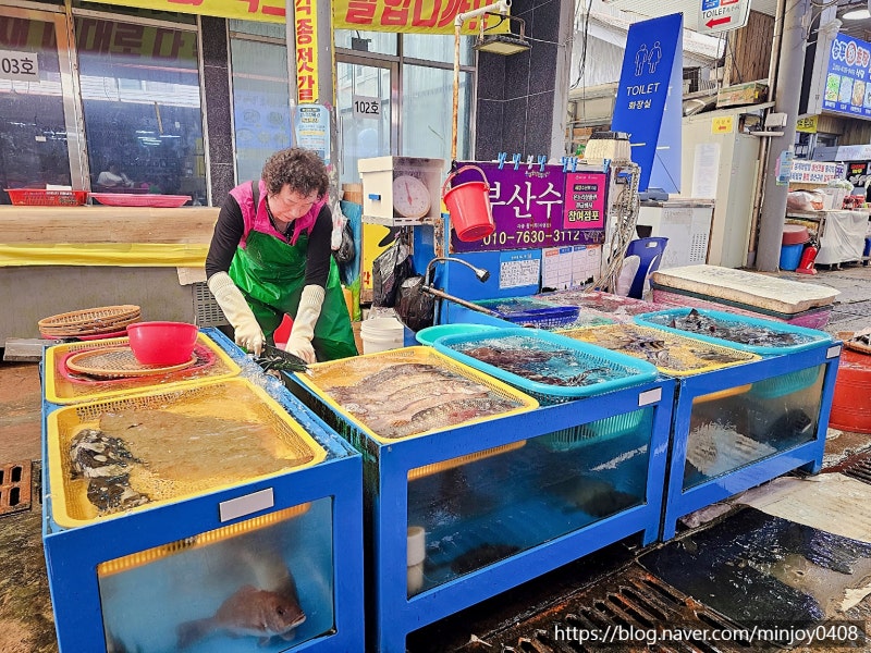 통영중앙시장횟집 가성비 회포장 맛집 부산수산 내돈내산 포장후기 네이버 블로그