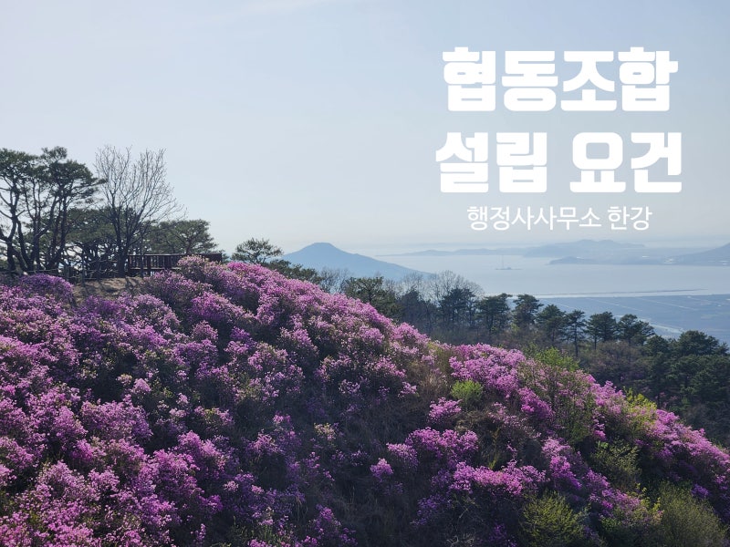 협동조합 설립 절차 및 요건 네이버 블로그