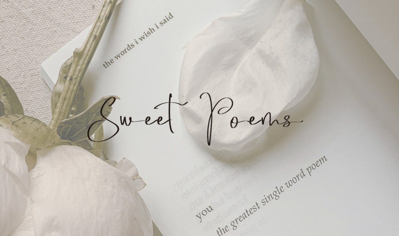 영문 필기체 무료 폰트 추천! 감성을 올려주는 상업용 글꼴! : 네이버 블로그