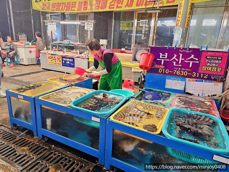통영중앙시장횟집 가성비 회포장 맛집 부산수산 내돈내산 포장후기 네이버 블로그