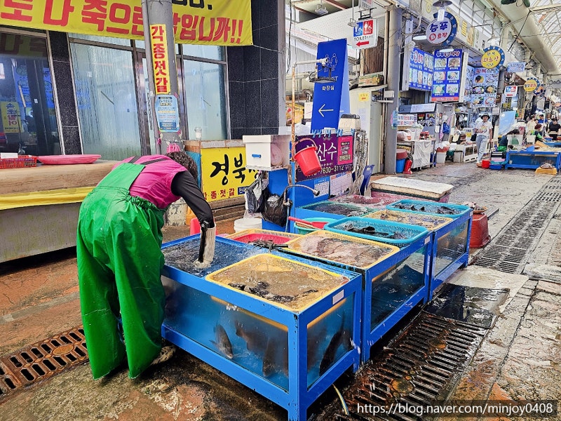 통영중앙시장횟집 가성비 회포장 맛집 부산수산 내돈내산 포장후기 네이버 블로그
