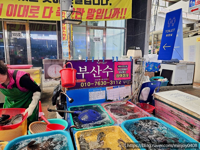 통영중앙시장횟집 가성비 회포장 맛집 부산수산 내돈내산 포장후기 네이버 블로그