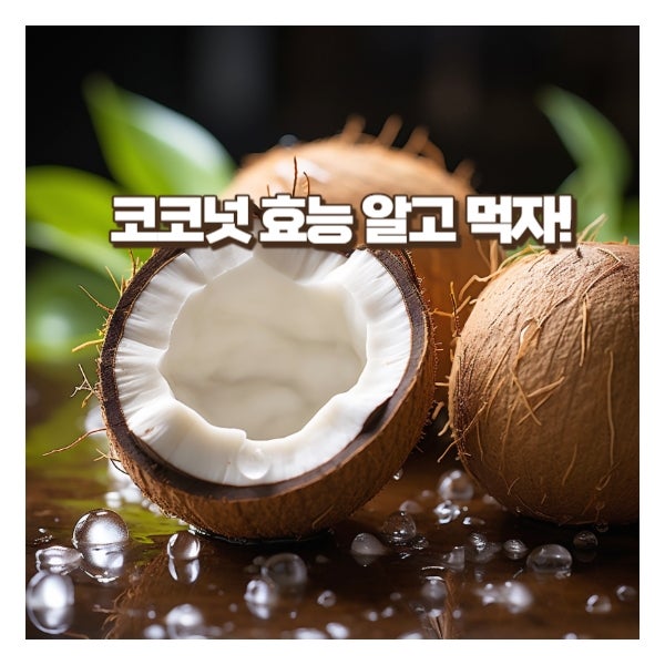 코코넛 효능 부작용 먹는방법 알고 드세요 네이버 블로그
