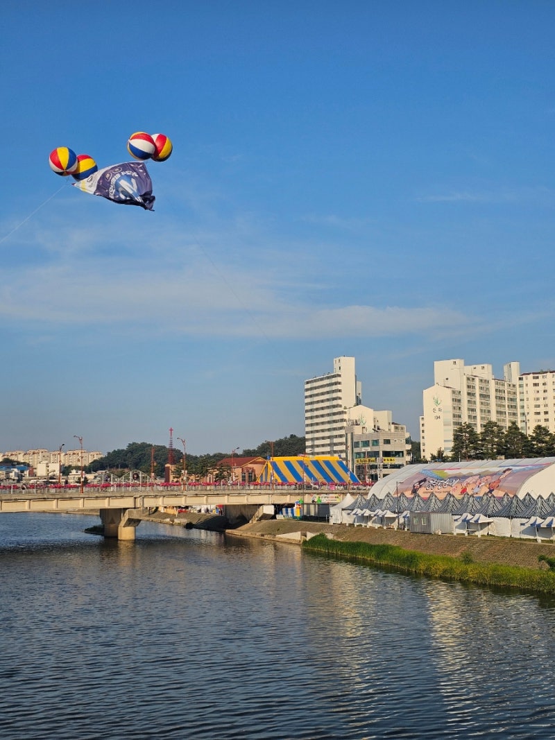 1박2일 강릉 기차여행 뚜벅이 모녀 여행코스 안목해변 월화거리 중앙시장 야시장 엄지네 포장마차 강릉빵다방 네이버 블로그