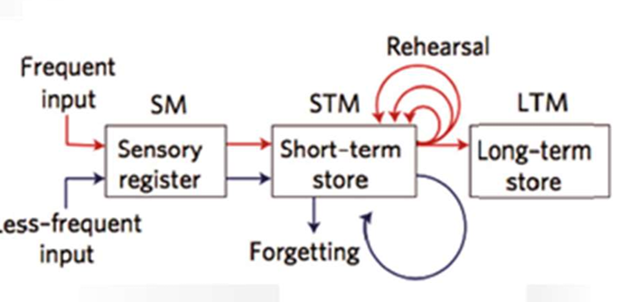 뉴로모픽 반도체 작동 원리 정리/neuromorphic system의 시냅스 가중치/PCM 구조로 STDP 구현/LTD LTP ...