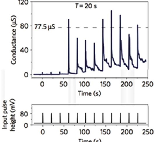 뉴로모픽 반도체 작동 원리 정리/neuromorphic system의 시냅스 가중치/PCM 구조로 STDP 구현/LTD LTP ...