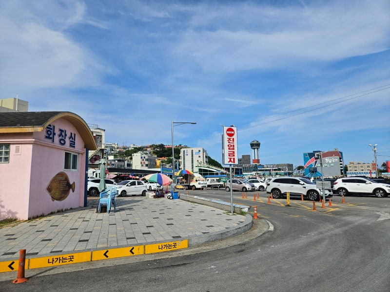 동해 묵호항 수산시장 회센터 다양한 해산물과 회포장 단새우 저렴하게 네이버 블로그