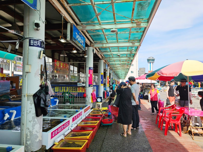 동해 묵호항 수산시장 회센터 다양한 해산물과 회포장 단새우 저렴하게 네이버 블로그