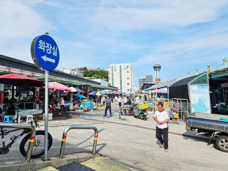 동해 묵호항 수산시장 회센터 다양한 해산물과 회포장 단새우 저렴하게 네이버 블로그