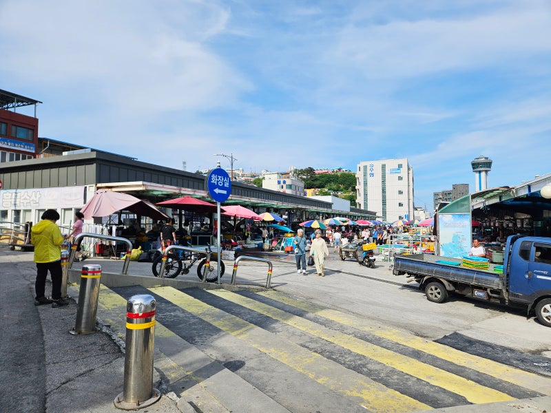 동해 묵호항 수산시장 회센터 다양한 해산물과 회포장 단새우 저렴하게 네이버 블로그